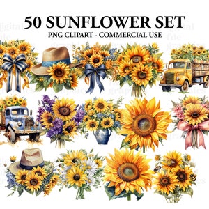 BIG BUNDLE Sunflower Watercolor Clipart, Summer Flowers Clipart ...