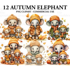 Autumn Cute Elephant Watercolor Clipart, Fall Animal Clipart PNG, Kids ...
