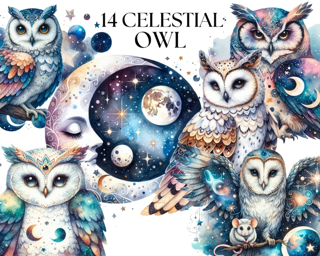 Owl and Moon Watercolor Clipart, Celestial Owls Clipart, Fantasy ...