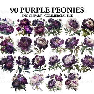 BIG BUNDLE Purple Peonies Watercolor Clipart, Floral Clipart, Summer ...