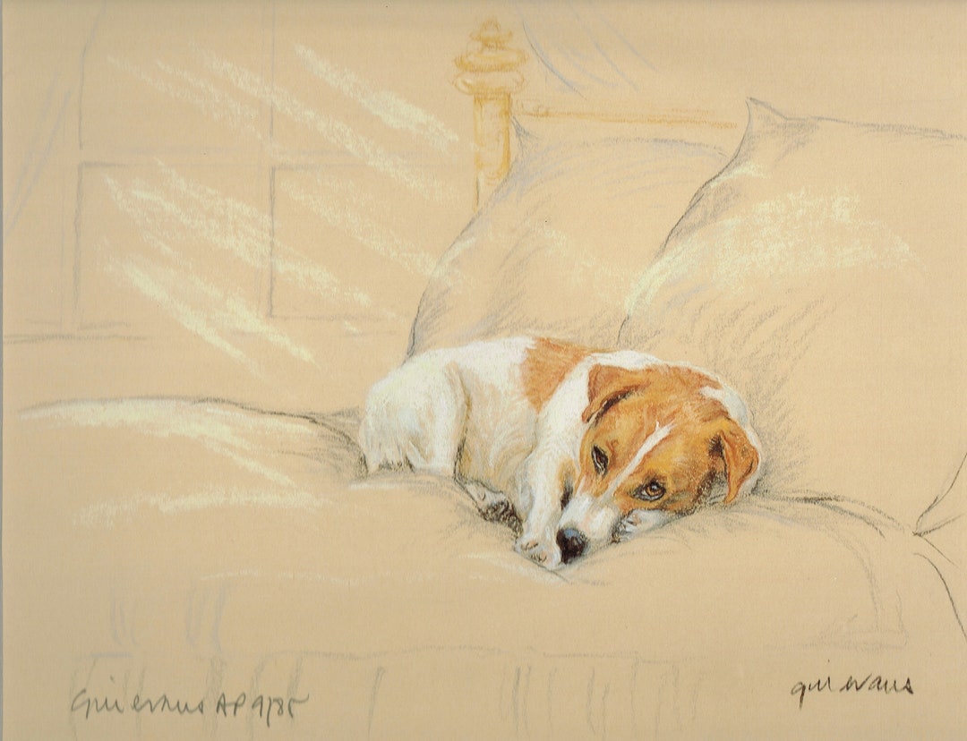 Jack Russell Terrier Print: Gill Evans Limited Edition Art AP16 - Etsy