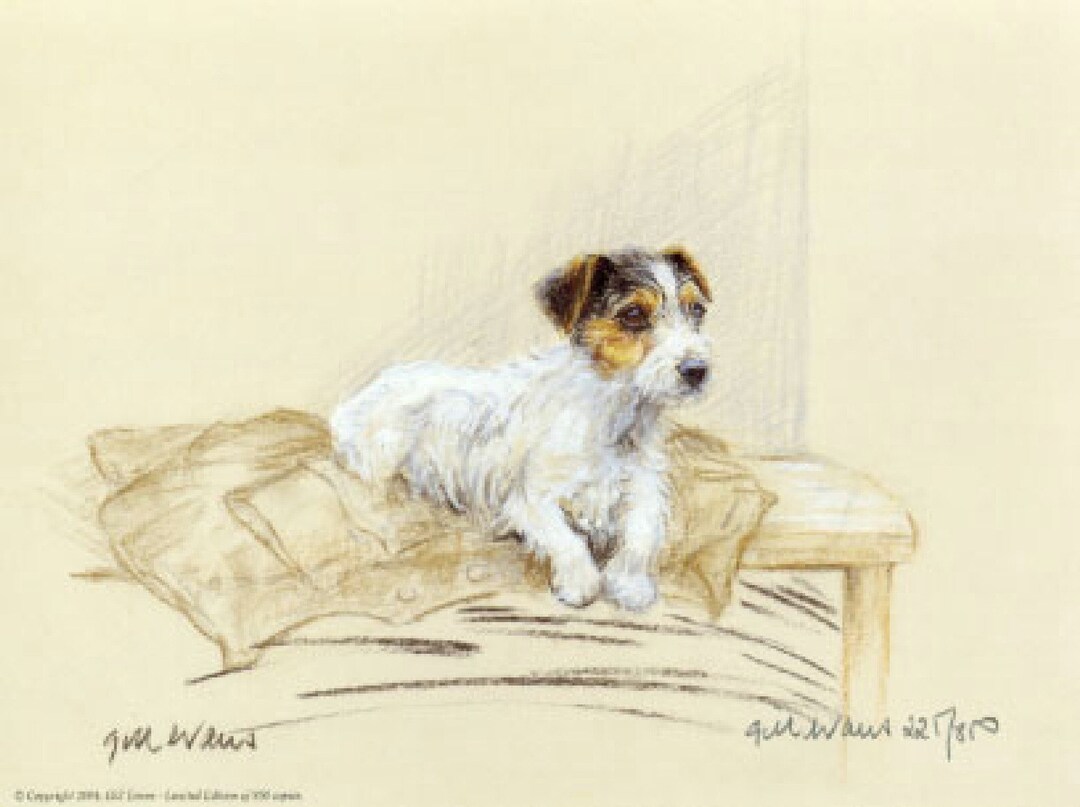 Jack Russell Terrier Limited Edition Art Print by Gill Evans GE169 - Etsy