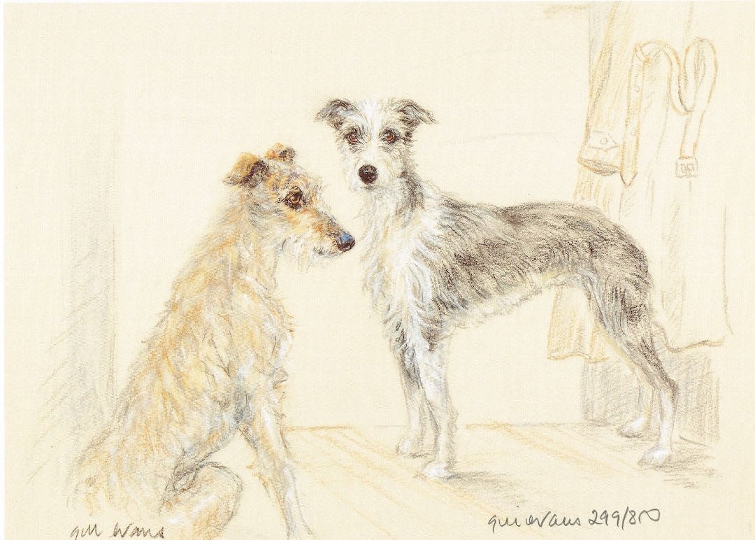 Lurcher Print, Lurcher Picture, Lurcher Dog Print, Lurcher Dog Picture ...