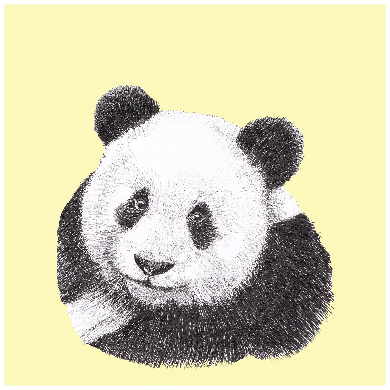 Coaster panda, mignon panda crayon dessin coaster, mignon panda crayon ...