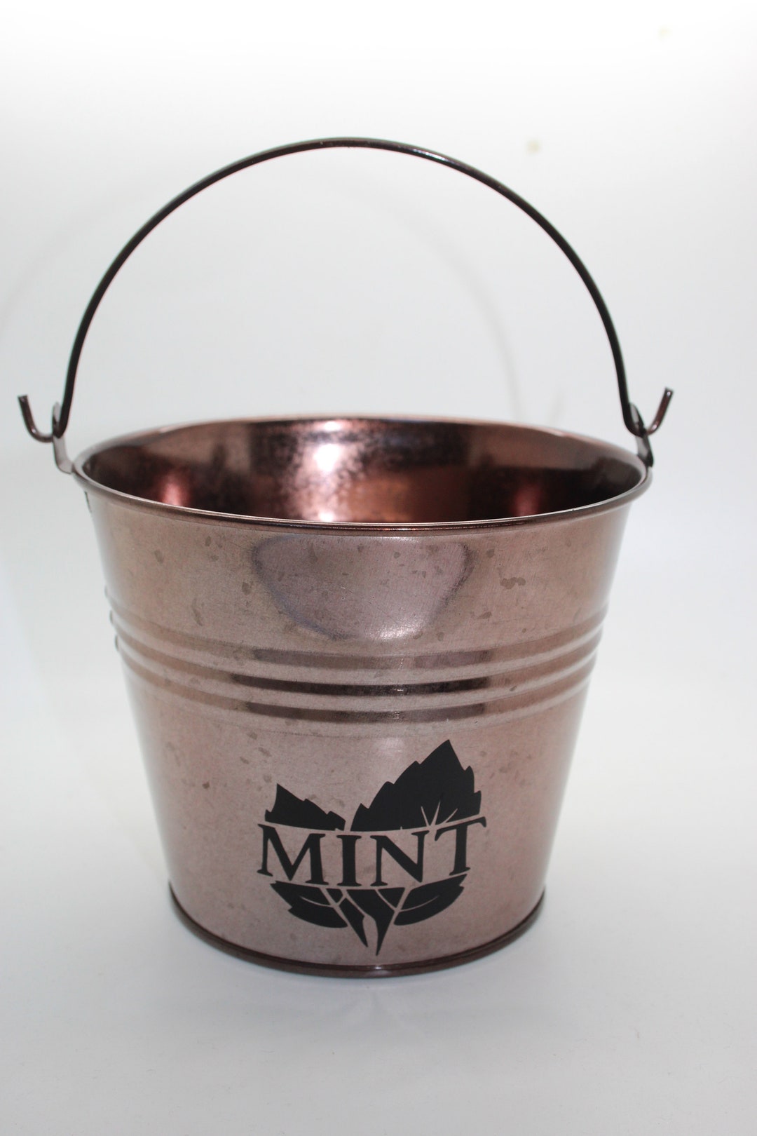 Mint Herb Bronze Metal Bucket Pot - Etsy