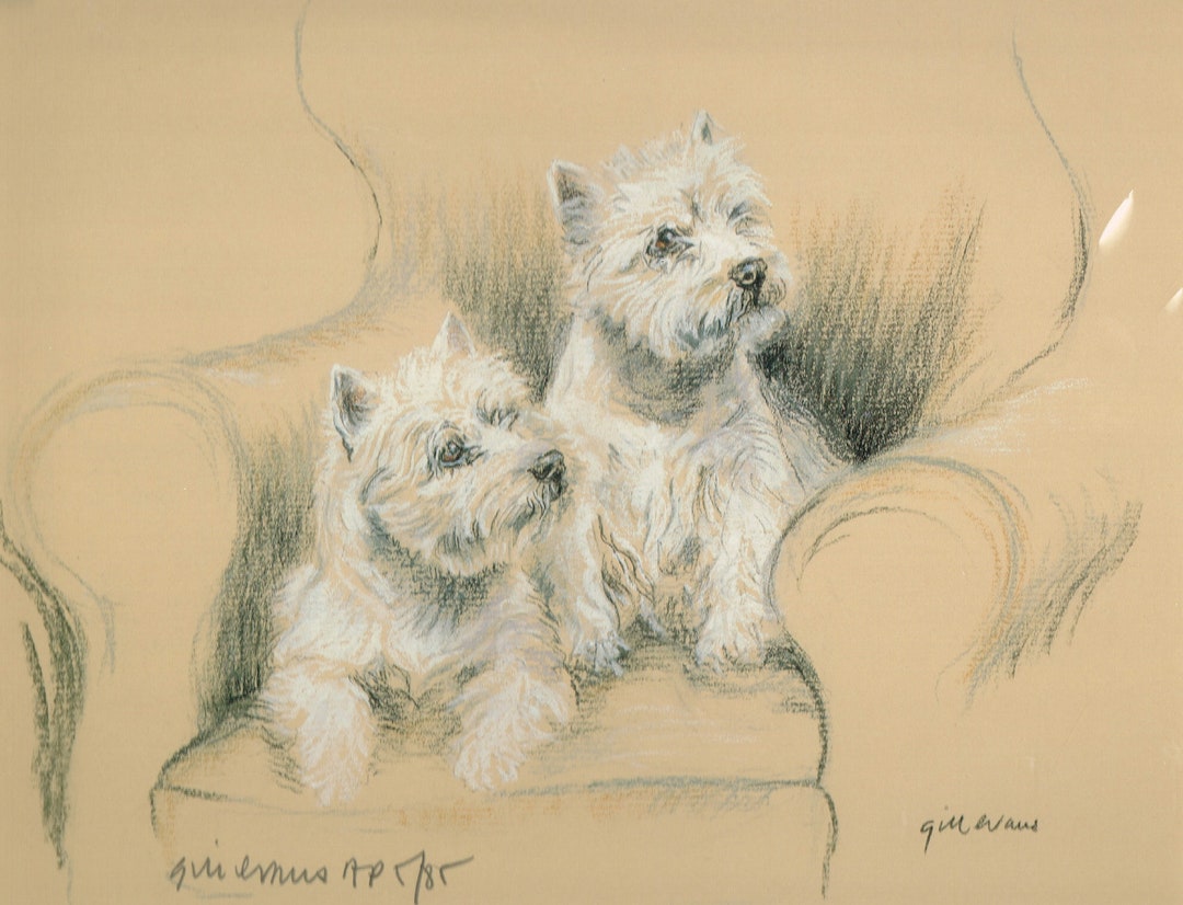 West Highland Terrier Limitierter Druck von Gill Evans AP54 - Etsy ...