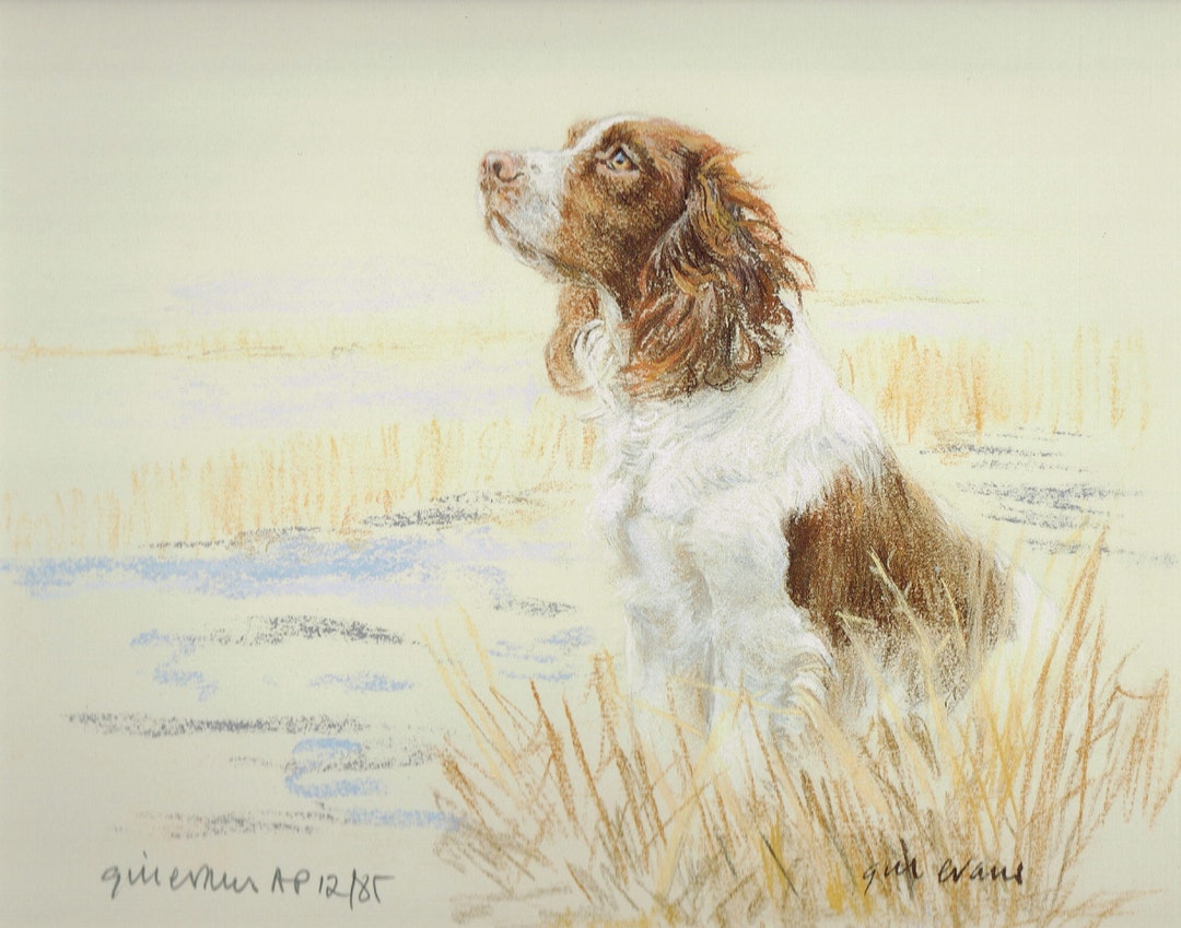 English Springer Spaniel Print: Signed Limited Edition Art AP15 - Etsy