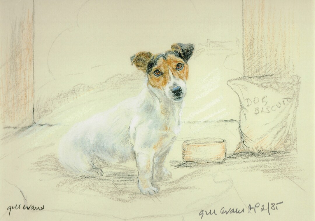 Jack Russell Terrier Print: Gill Evans Limited Edition Dog Art AP06 - Etsy