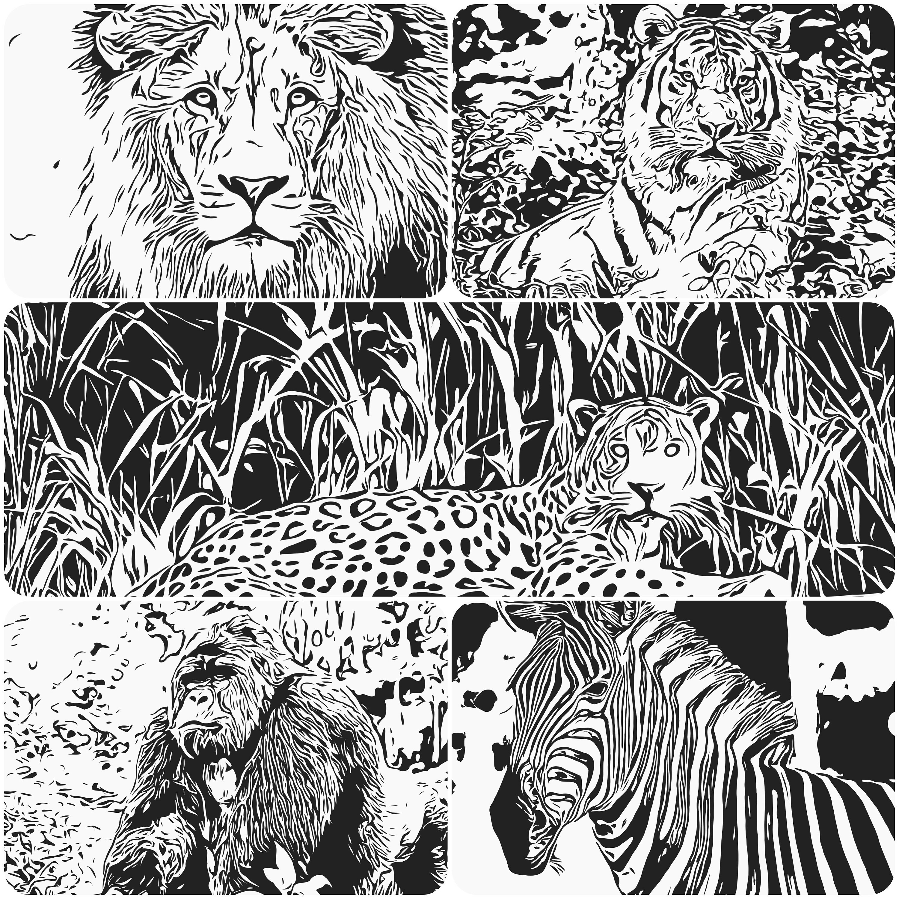Variety of 5 Creative Animal Coloring Pages digital/printable - Etsy