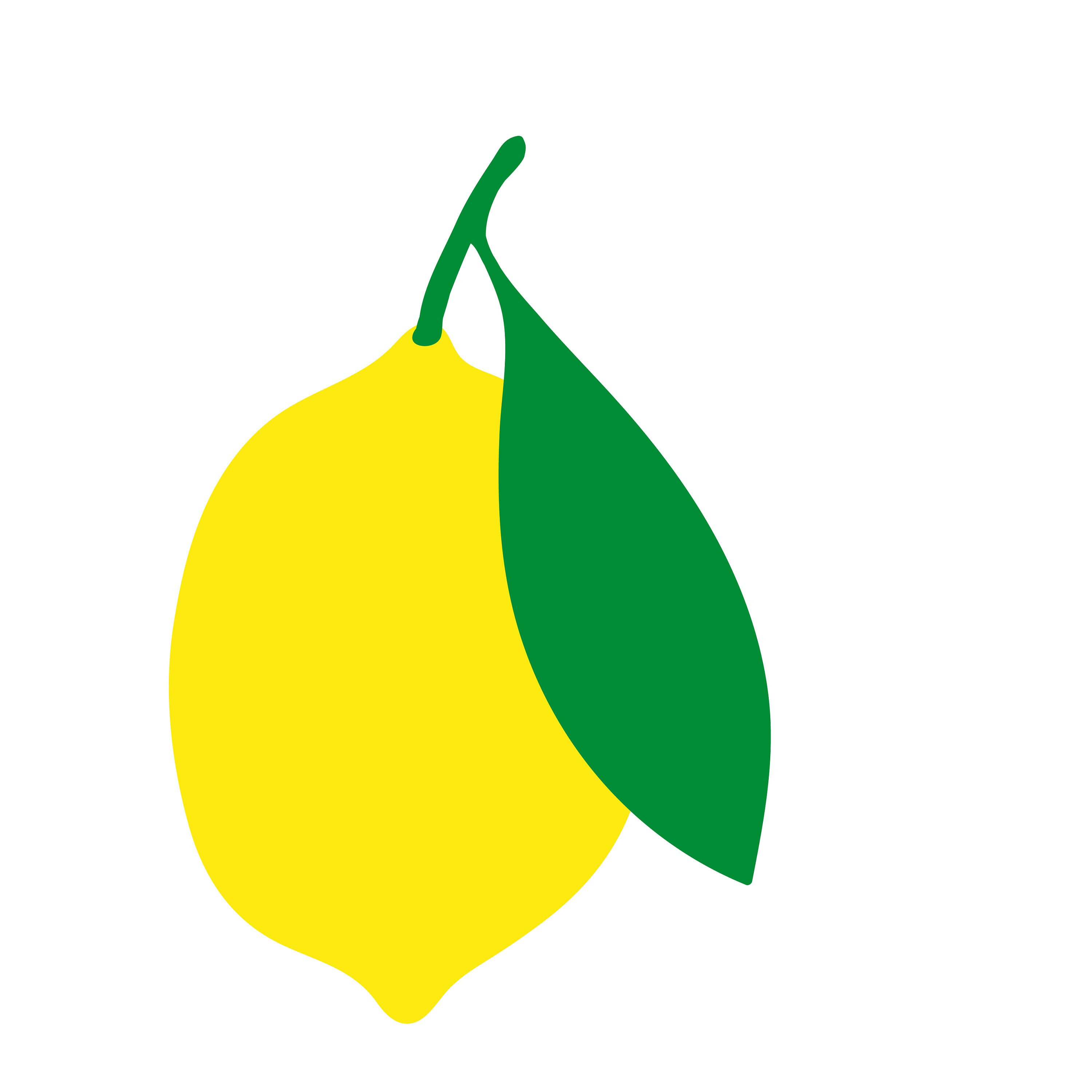 Lemon/lime SVG Bundle - 9 Digital Downloads, Cricut, Explore, PNG ...