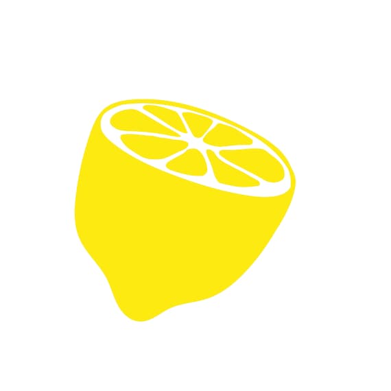 Lemon/lime SVG Bundle 9 Digital Downloads Cricut Explore - Etsy