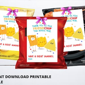 Last Day of School Printable Tag Classroom Treat Tag Friend Chip Bag ...