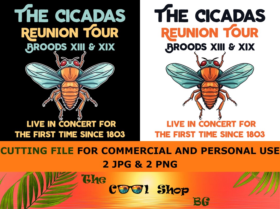 Cicada Shirt 2025 Png, the Cicadas Reunion Tour Png, Funny Cicada ...