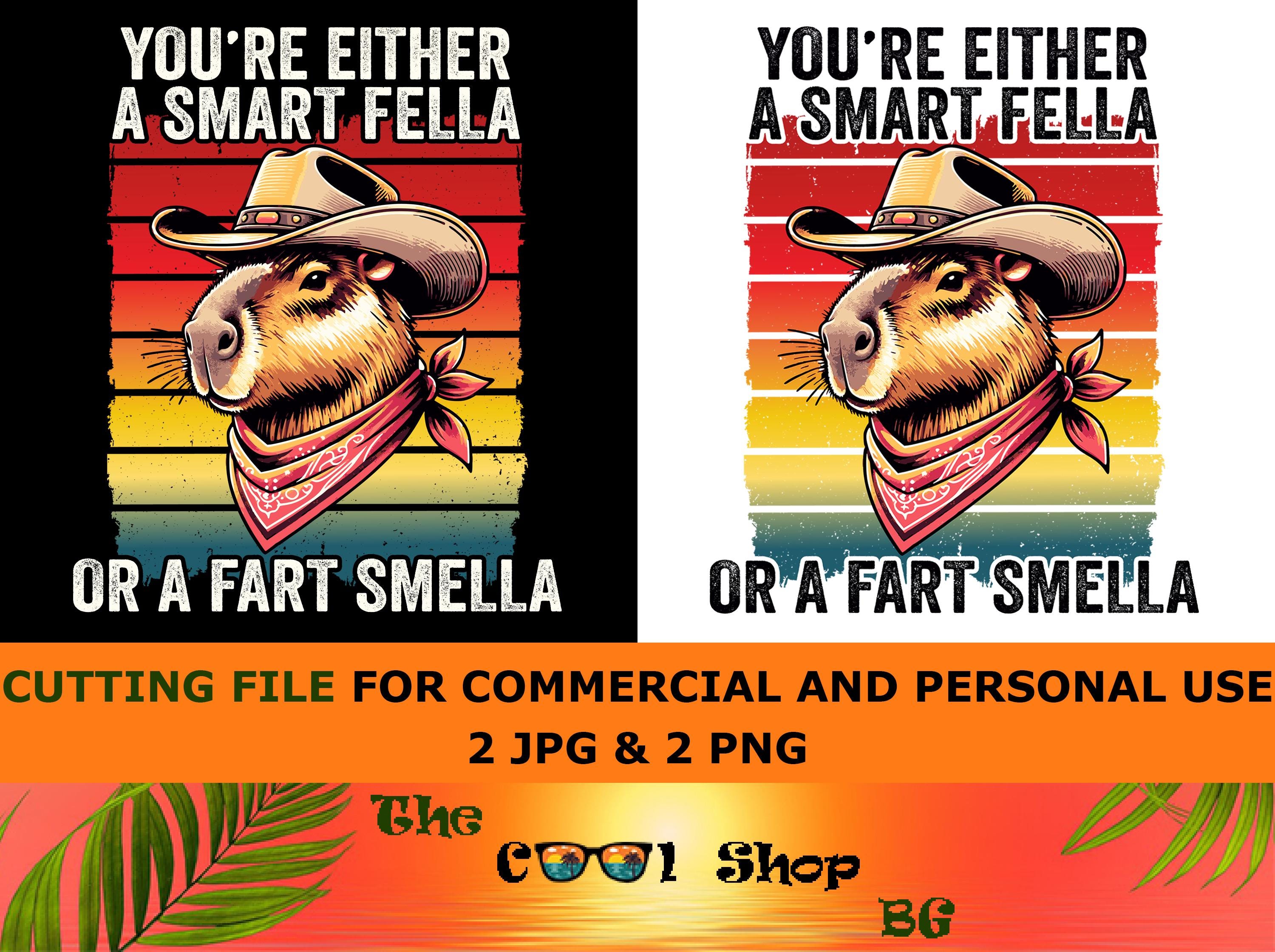 Are You A Smart Fella or Fart Smella Png Jpg Sublimation Design ...