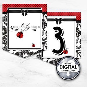Editable A Cute Little Ladybug Baby Shower Printable Alphabet Banner ...