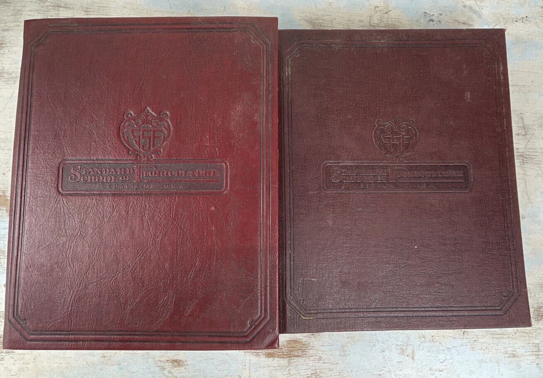 Flower Arranging Merchandising-standard School of Floriculture Course ...