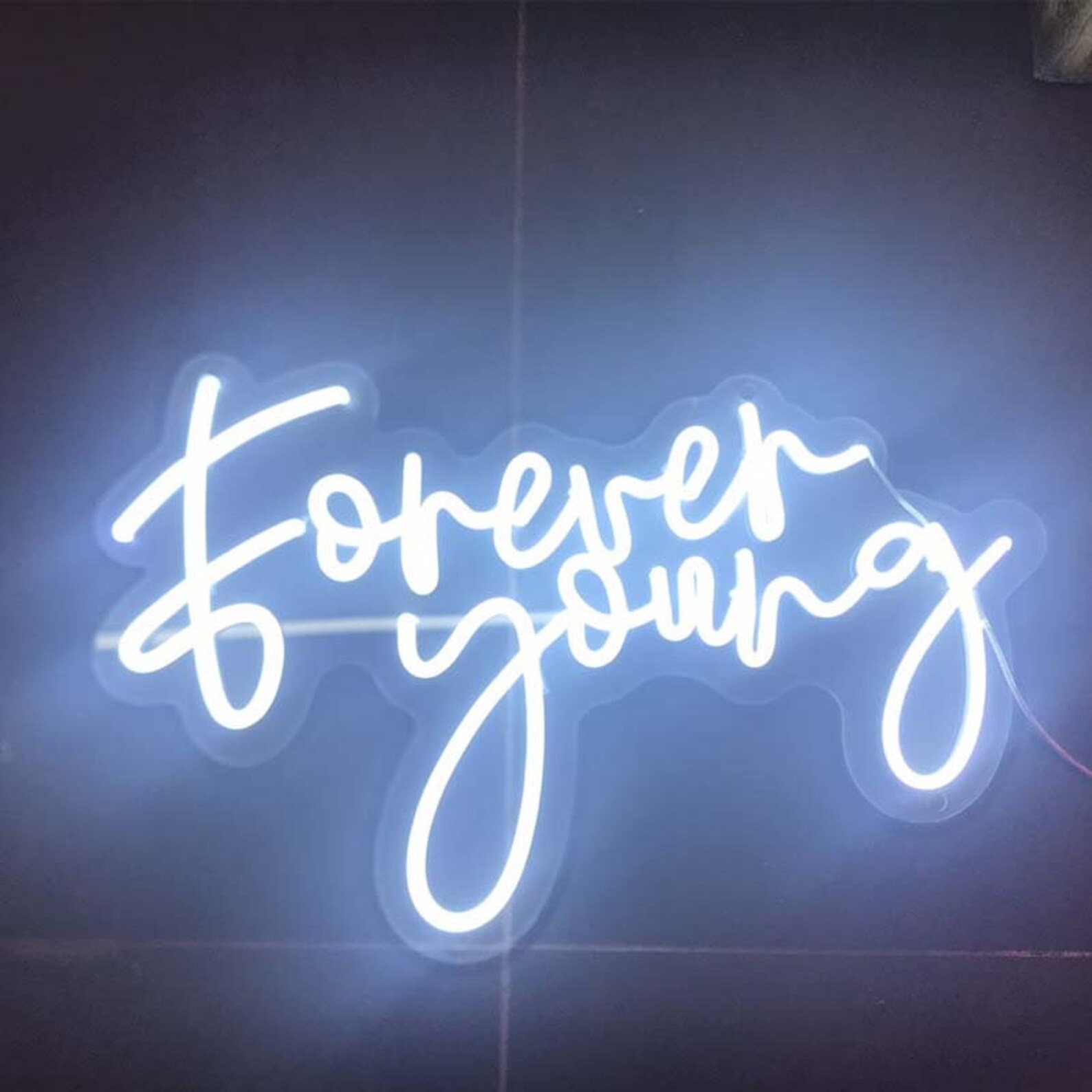 Forever Young Led Neon Bedroom Decor Signcustom Handmade - Etsy