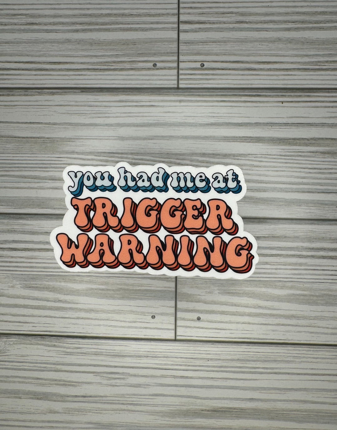You Had Me at Trigger Warning Sticker, Smutty Books, Book Lover Gift ...