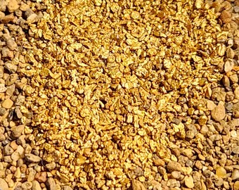 Gold Paydirt .25lbs Rich Gold Panning Concentrates With 3 Grams Added ...