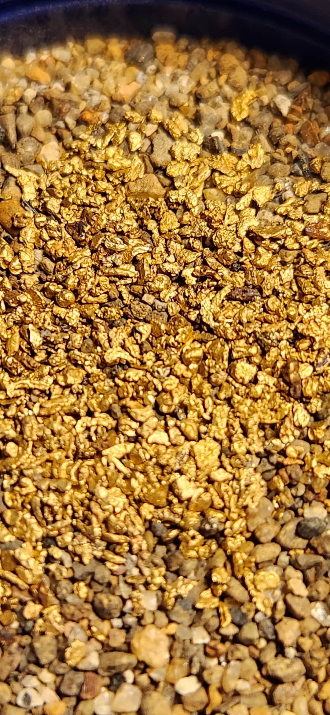Gold Paydirt! .25lbs Rich Gold Panning Concentrates With 3+ Grams Added ...