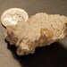 27gram Topaz Specimen From the Thomas Range, Utah. This Specimen is ...
