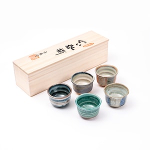 Mino Ware Set of 5 Handmade Sake Cup Gift Set, Teacups, Sake Cups ...