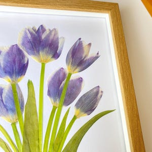 Pressed Purple Tulips in 8x10 Frame—elegant Perfect Birthday Gift for ...