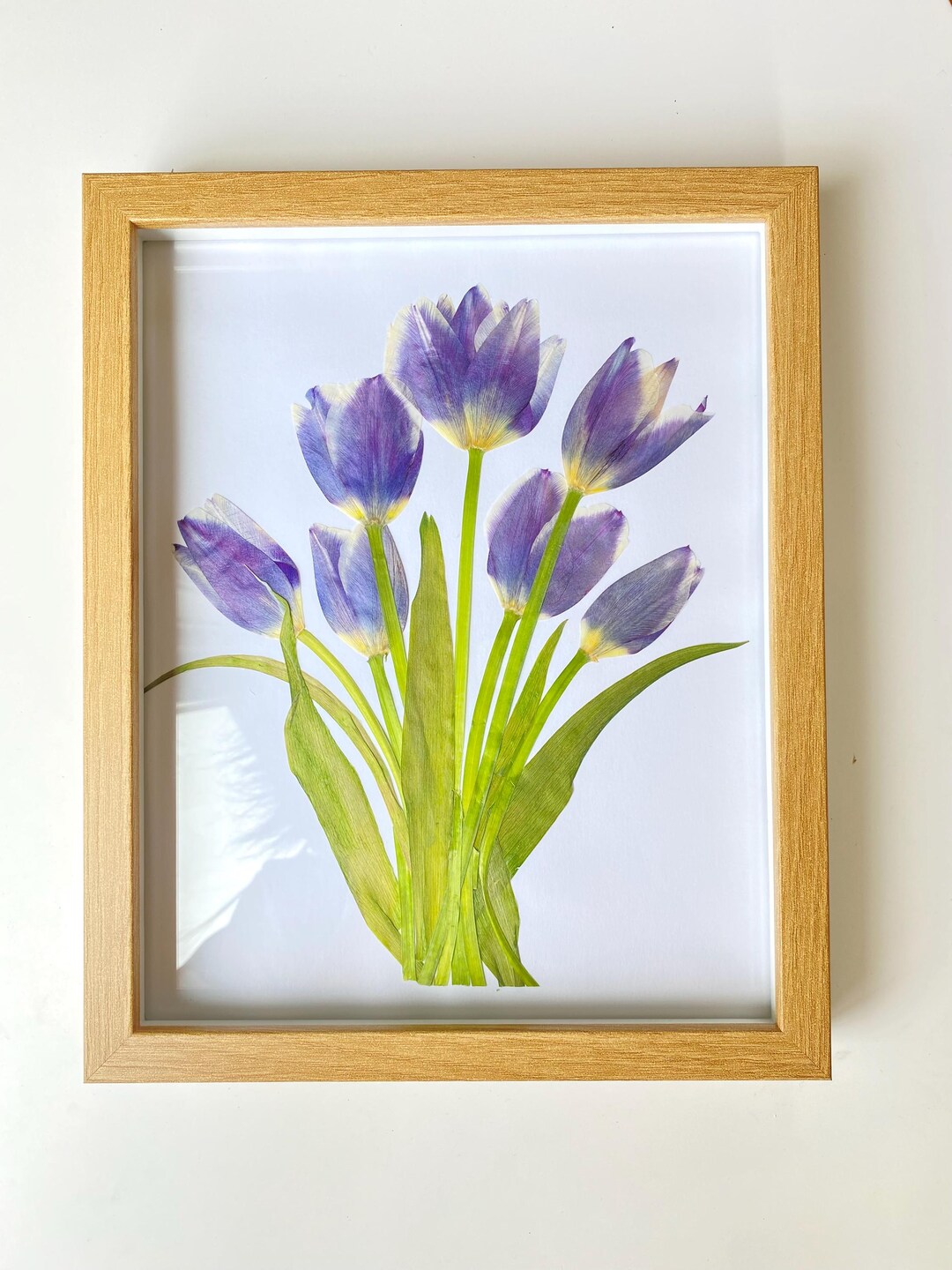 Pressed Purple Tulips in 8x10 Frame—elegant Perfect Birthday Gift for ...