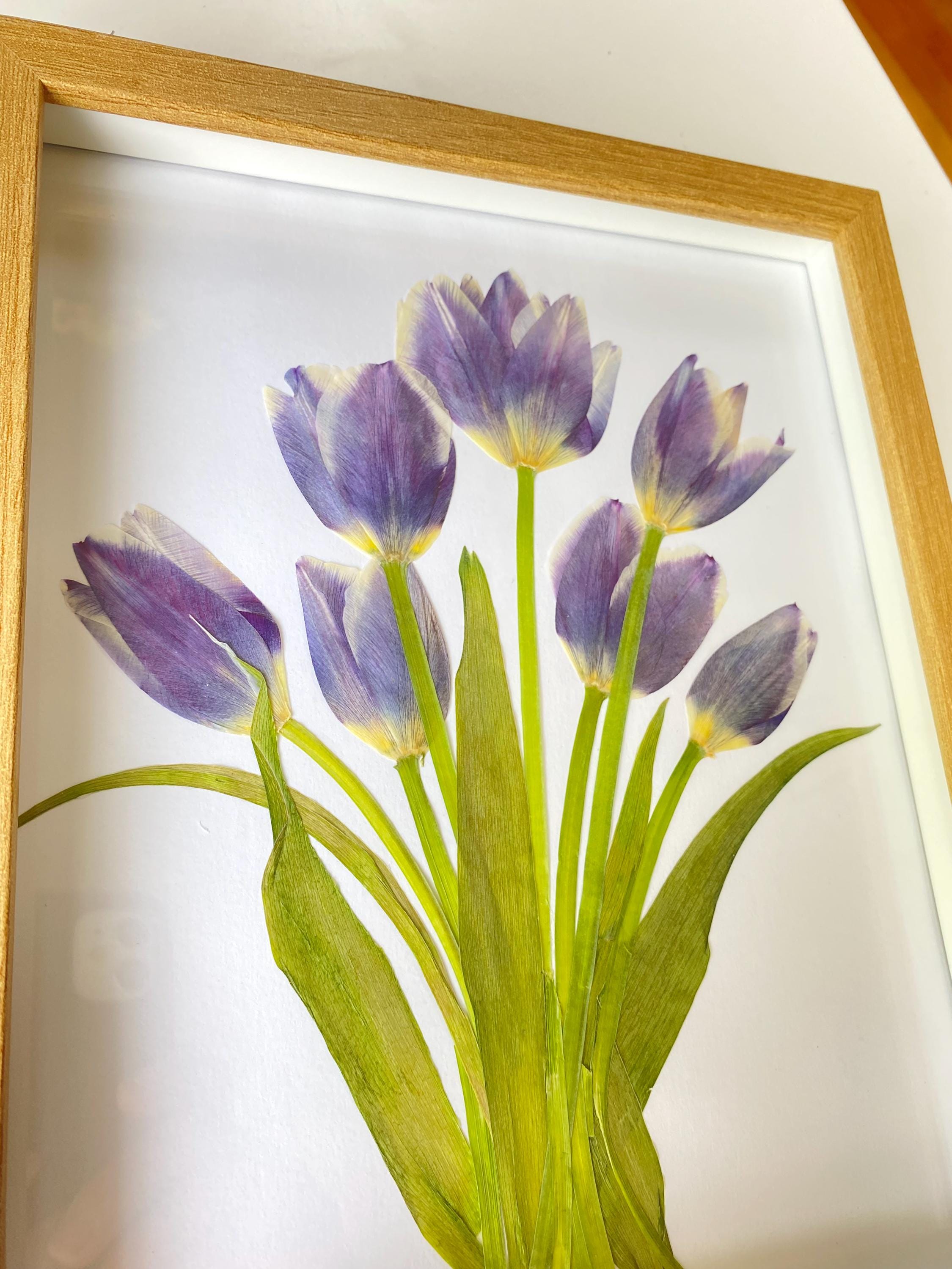 Pressed Purple Tulips in 8x10 Frame—elegant Perfect Birthday Gift for ...