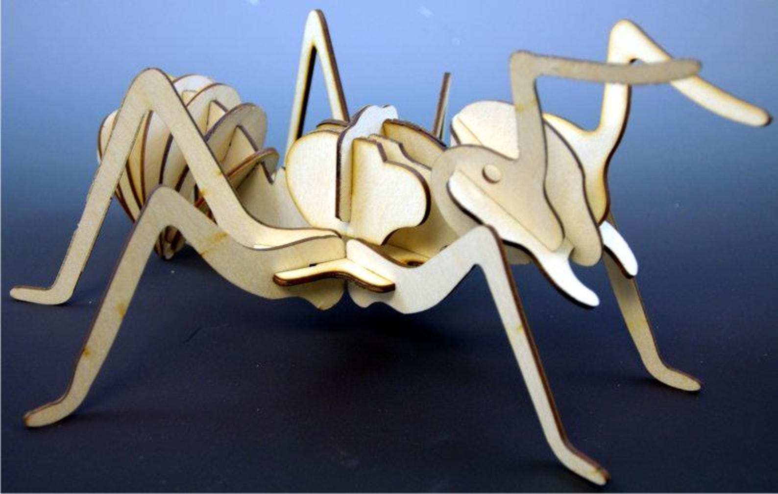 Insect 3D Puzzle Laser Cut Files: CNC Router Vector Bundle (digital ...