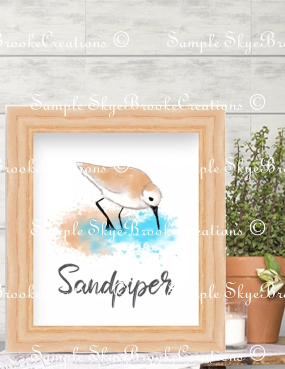 Beach art sandpiper art sand piper coastal art coastal | Etsy