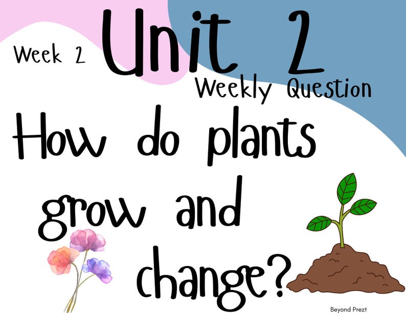 1st Grade Savvas MY View Unit 2 | Complete Unit Powerpoint | Unit 2 ...