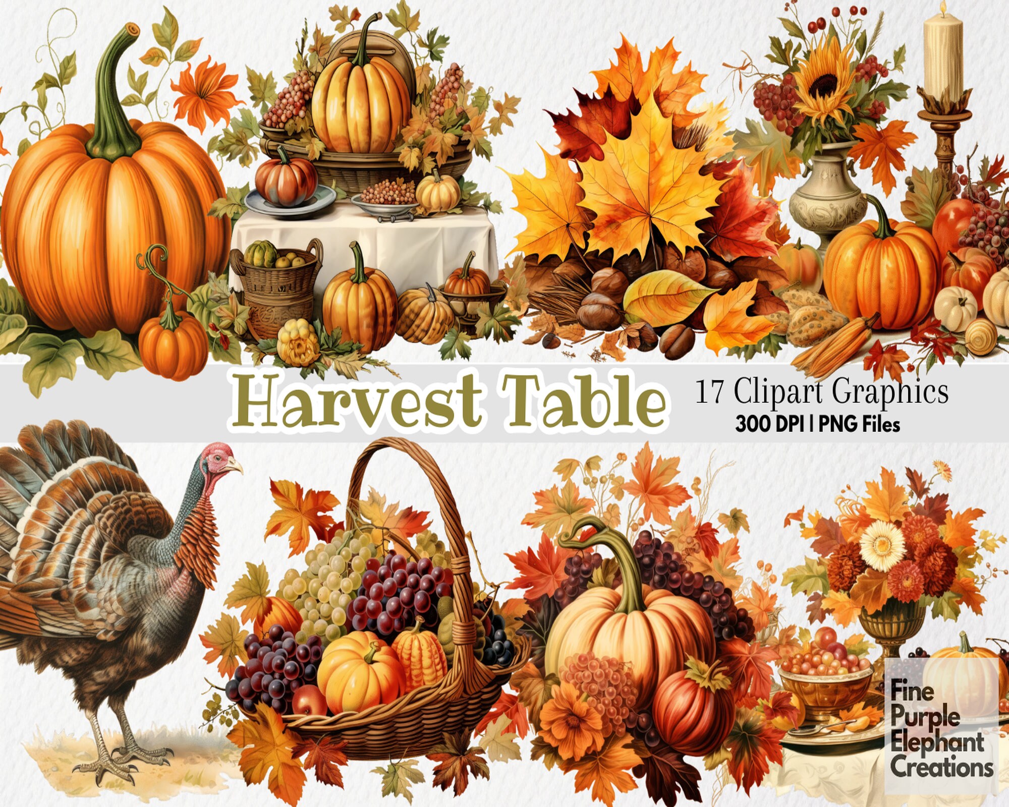 Vintage Thanksgiving Cornucopia PNG Clipart | Fall Pumpkin Sublimation ...