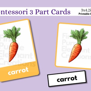 Cartoon Vegetable Digital Flashcards Montessori Card Preschool ...