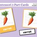 Cartoon Vegetable Digital Flashcards Montessori Card Preschool ...