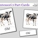 Watercolor Farm Animal Digital Flashcards Montessori Card Preschool ...