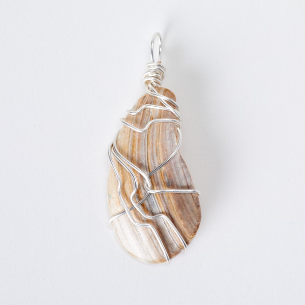 Sea Shell Wire Wrap - Etsy