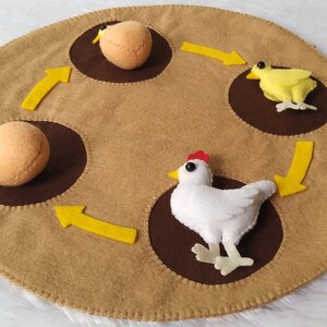 Life Cycle of Chicken With Figurine, Chicken Felt Board, Life Cycle ...