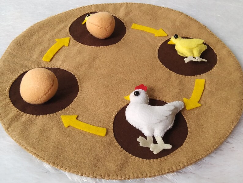 Life Cycle of Chicken With Figurine, Chicken Felt Board, Life Cycle ...