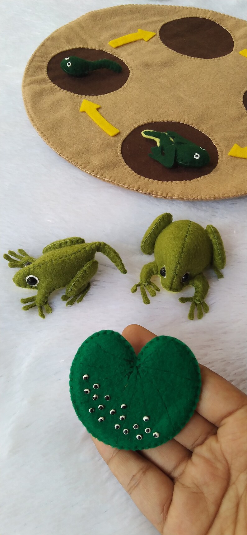 Life Cycle of Frog Felt Board, Frog Life Cycle Set, Science Activity ...