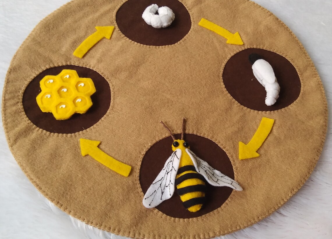 Bee Felt Board, Life Cycle Flannel Set, Life Cycle of a Bee With ...