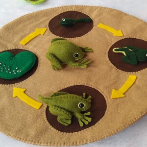 Life Cycle of Frog Felt Board, Frog Life Cycle Set, Science Activity ...