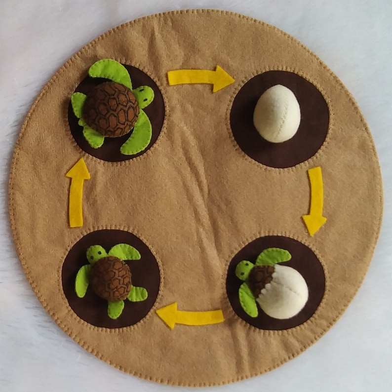 Life Cycle of Turtle, Life Cycle Felt Tray, Turtle Felt Board, Felt ...