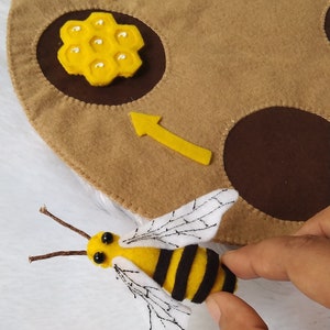 Bee Felt Board, Life Cycle Flannel Set, Life Cycle of a Bee With ...