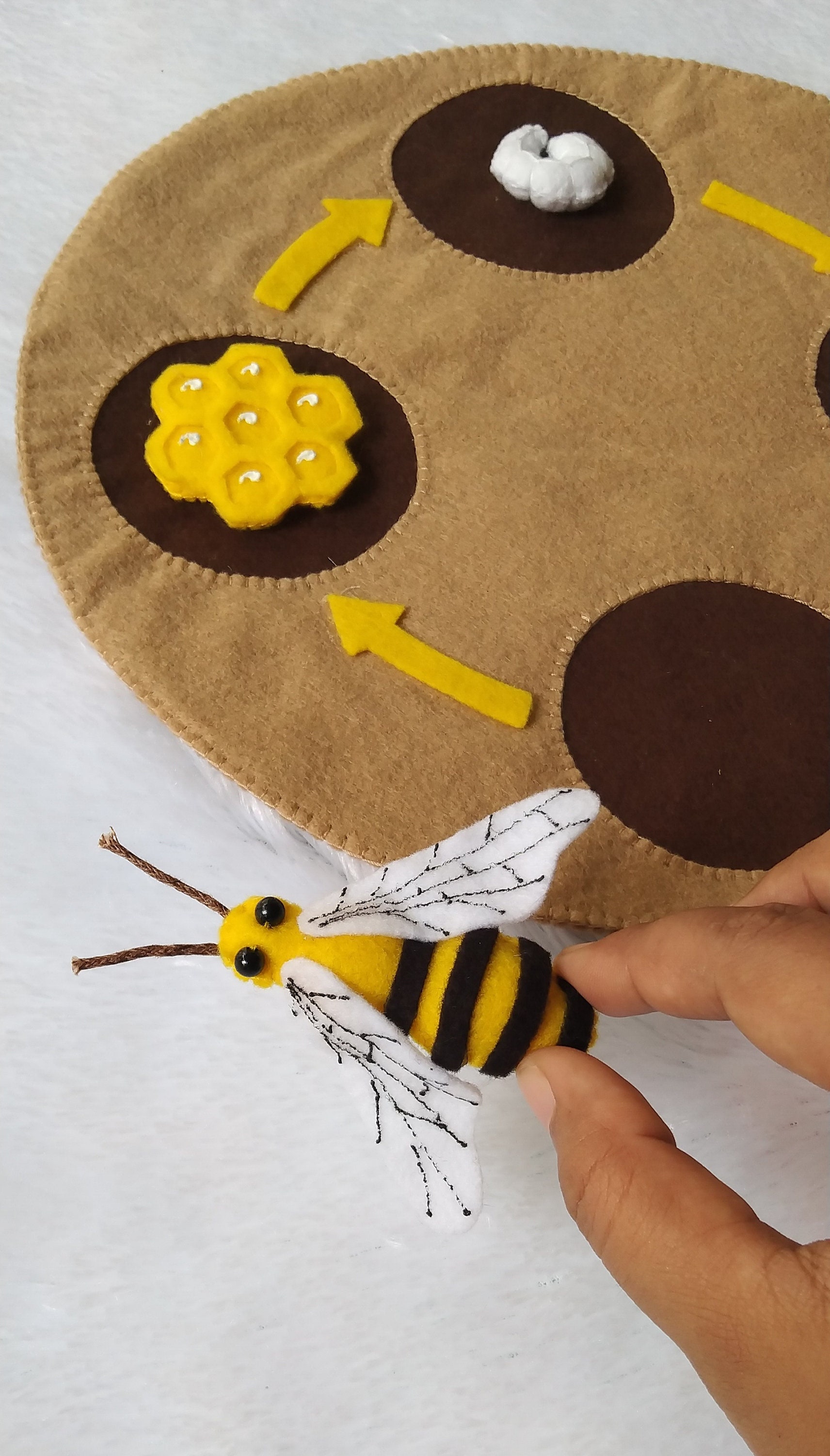 Bee Felt Board, Life Cycle Flannel Set, Life Cycle of a Bee With ...