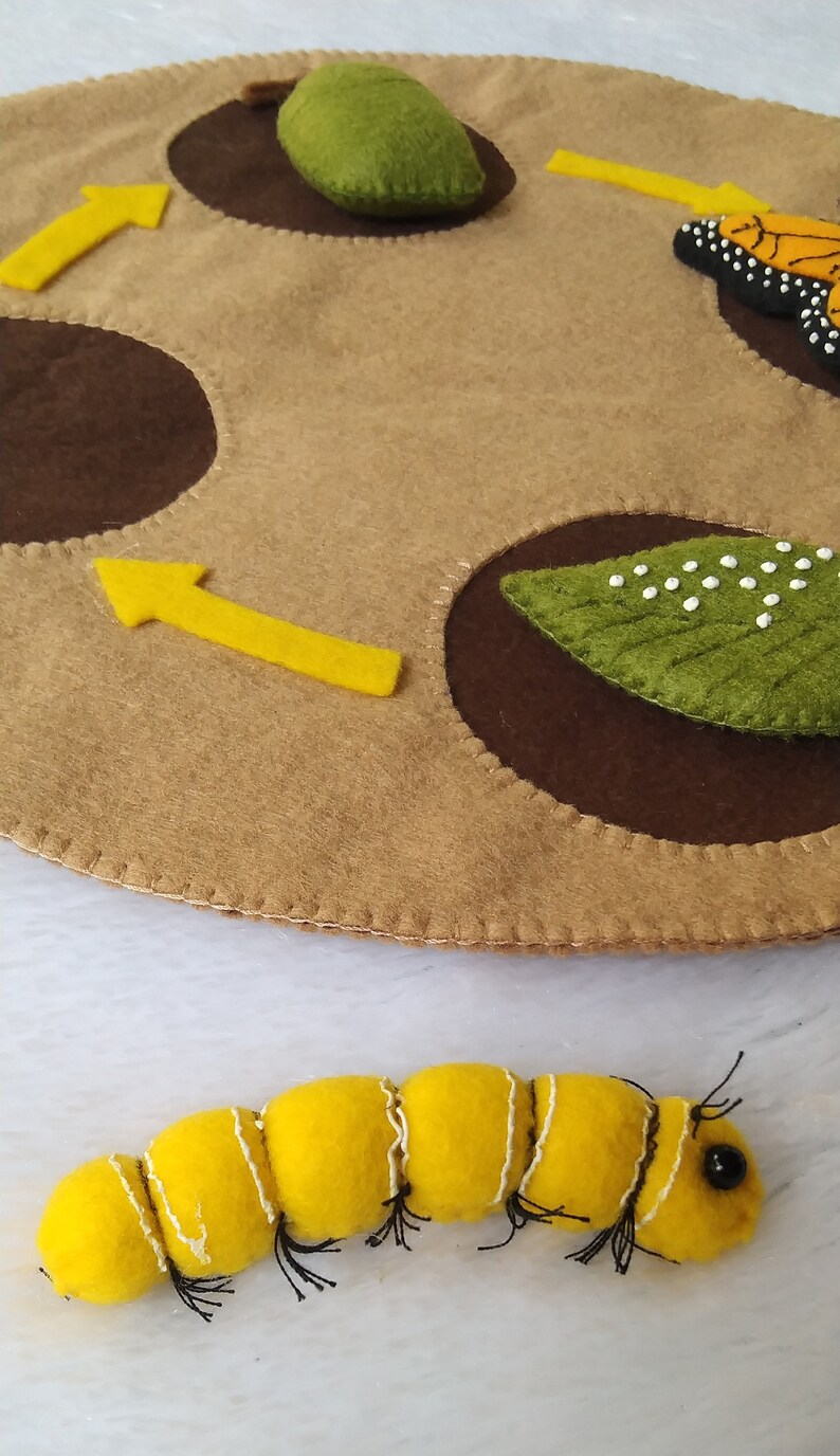 Butterfly Life Cycle Felt Board, Butterfly Life Cycle Set Science ...