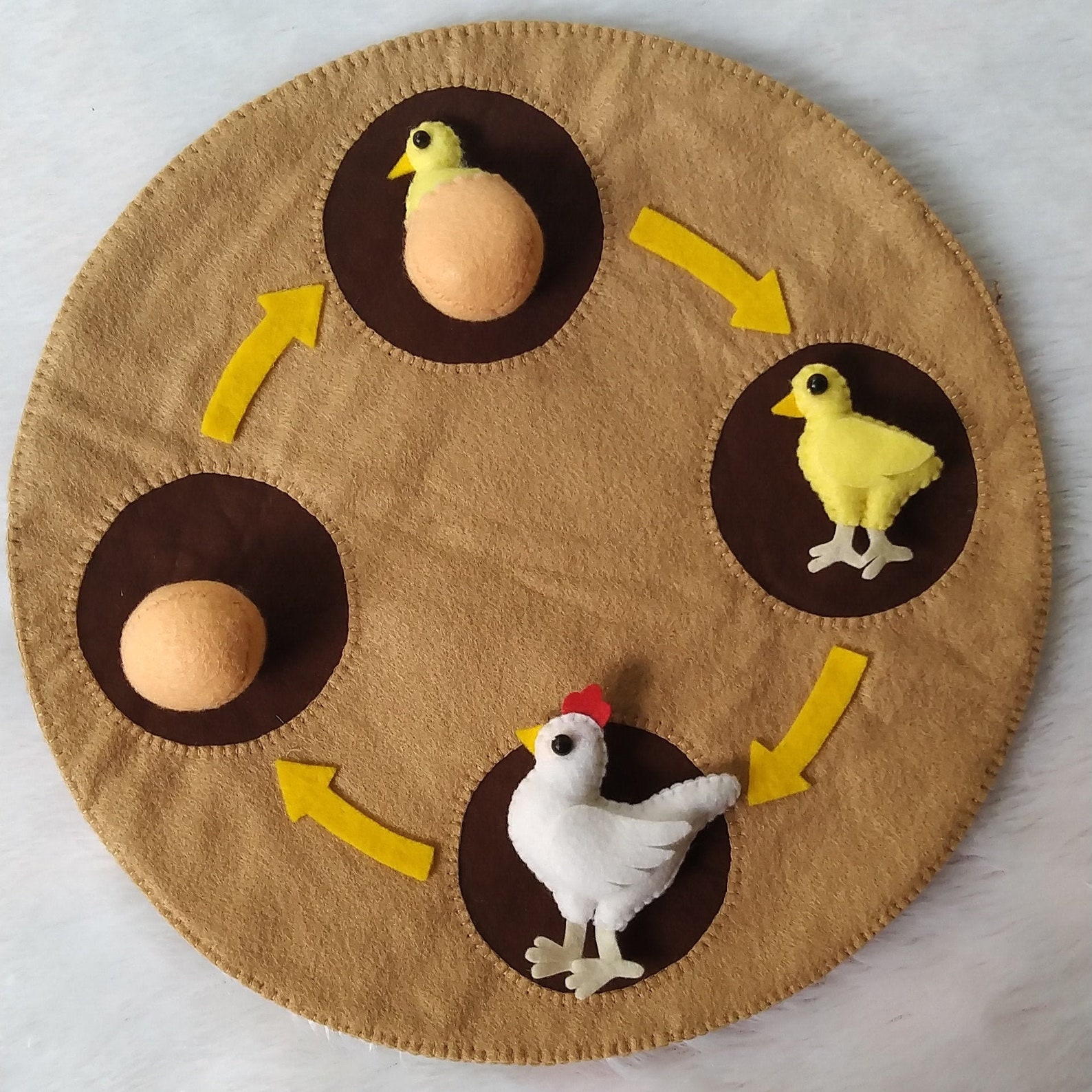 Life Cycle of Chicken With Figurine, Chicken Felt Board, Life Cycle ...