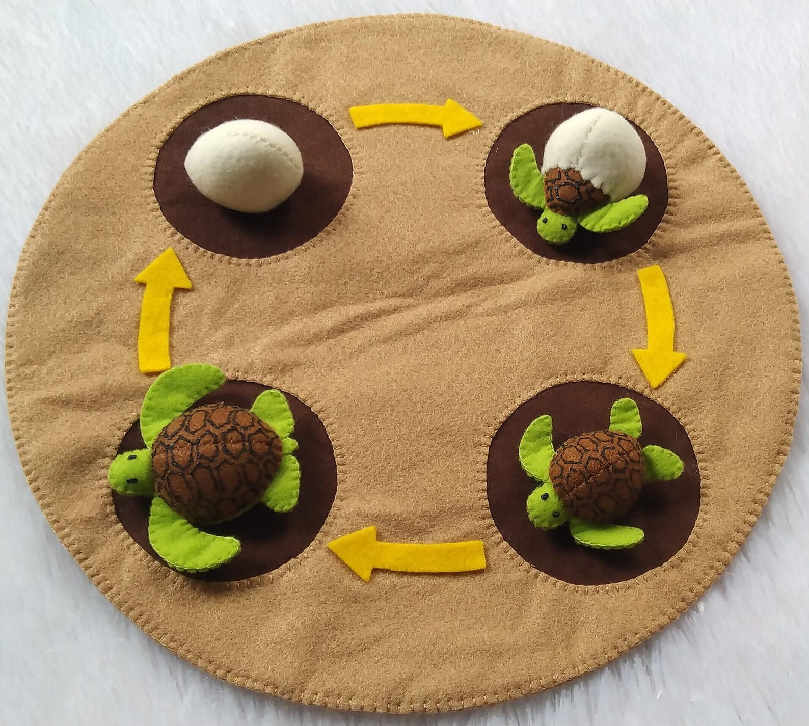 Life Cycle Felt Board Multi Set, Six Life Cycle, Life Cycle ...