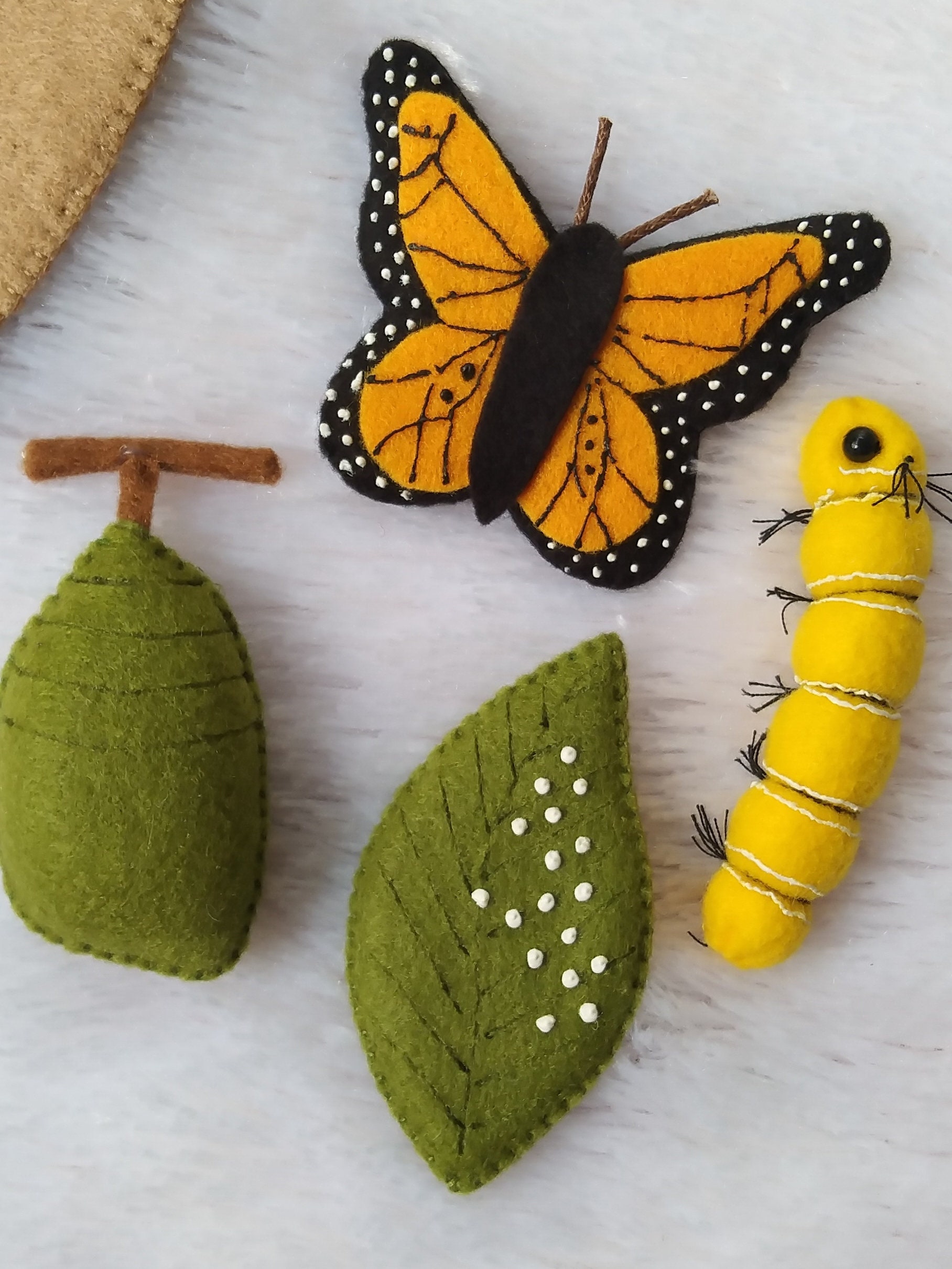 Butterfly Life Cycle Felt Board, Butterfly Life Cycle Set Science ...