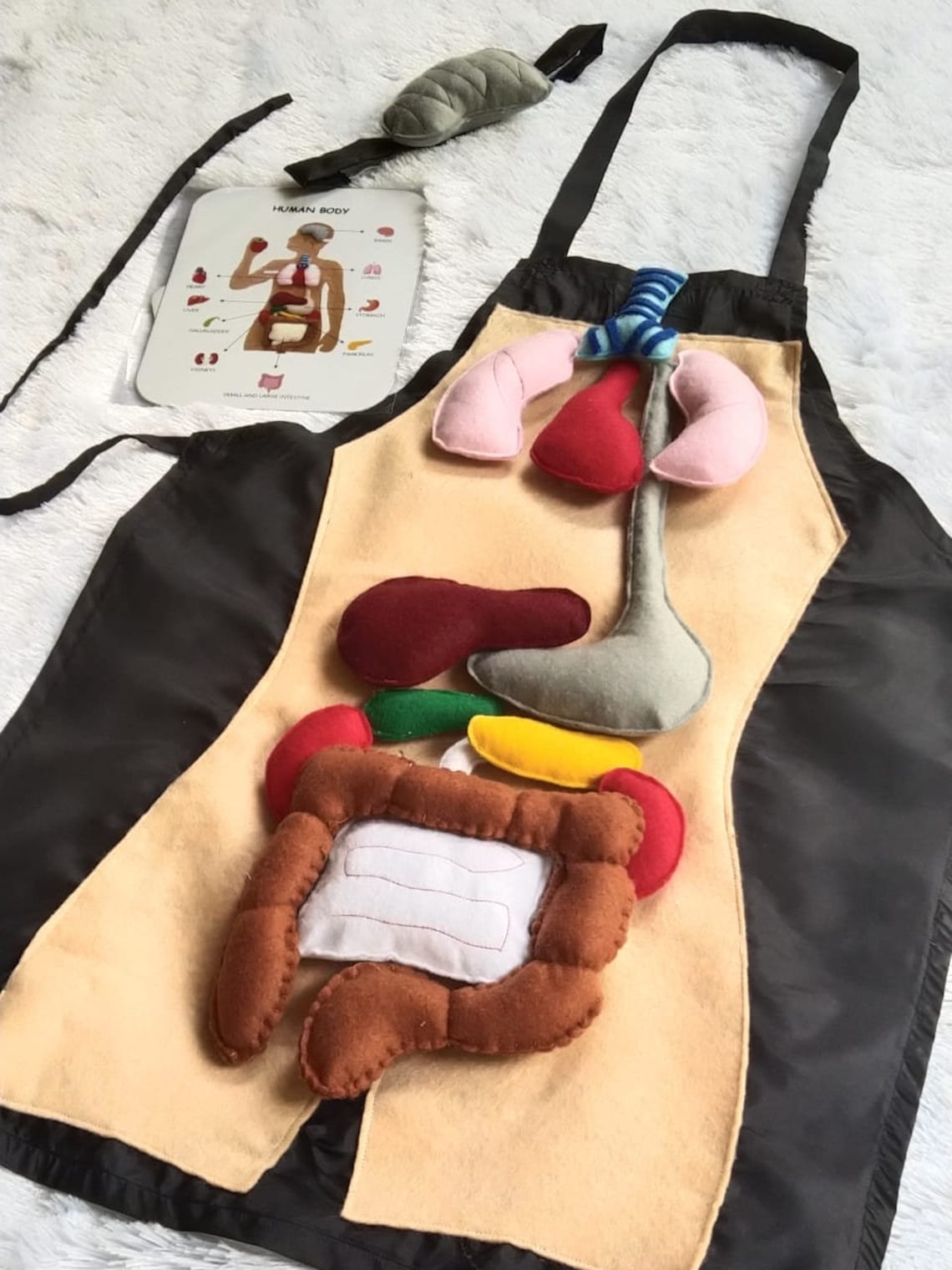 Montessori Anatomy Vest Personalized Human Organs Apron - Etsy